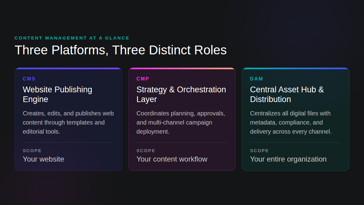 Digital Asset Management vs CMS vs CMP: A Complete Guide