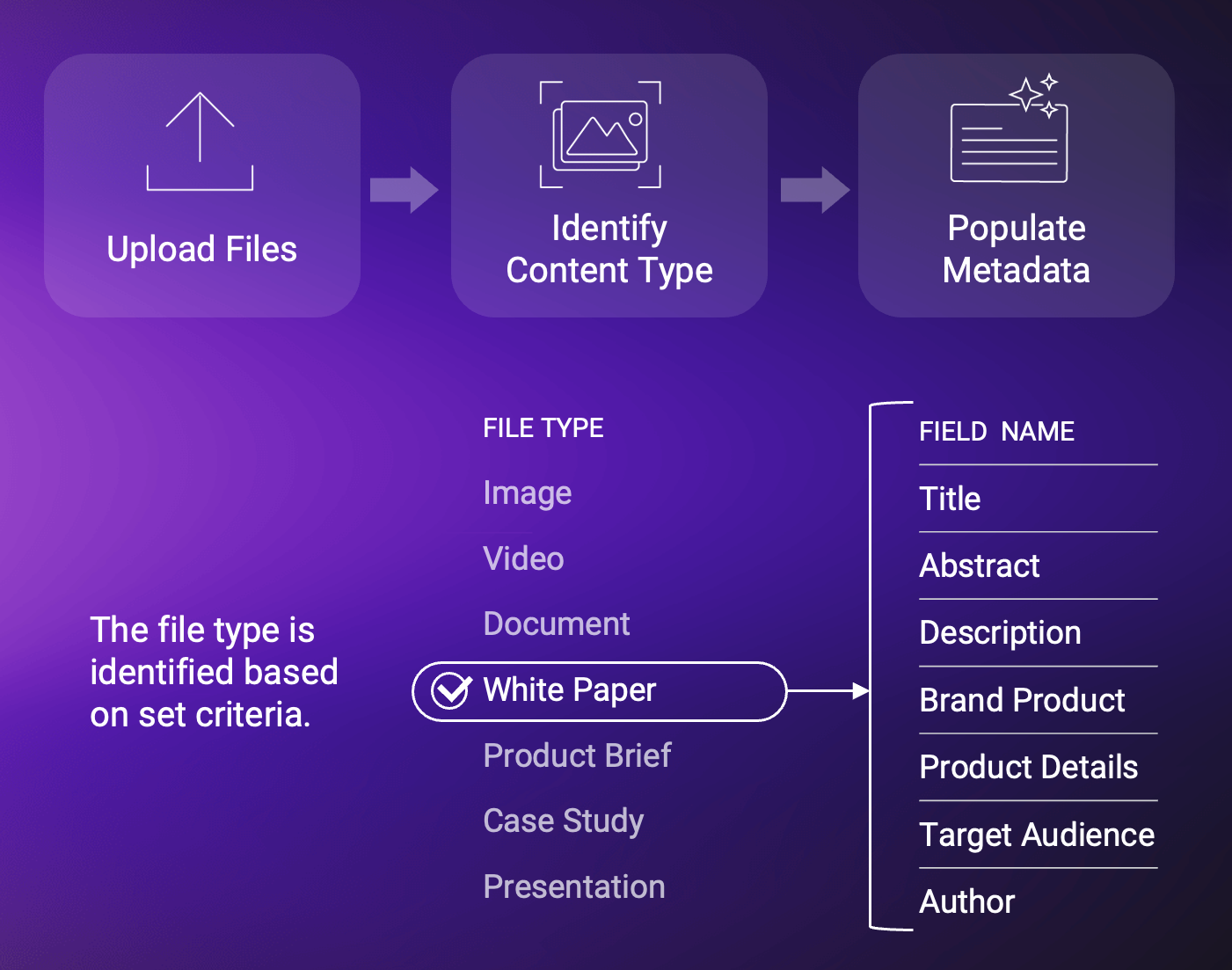 What Is Predictive Metadata in a DAM? | Aprimo